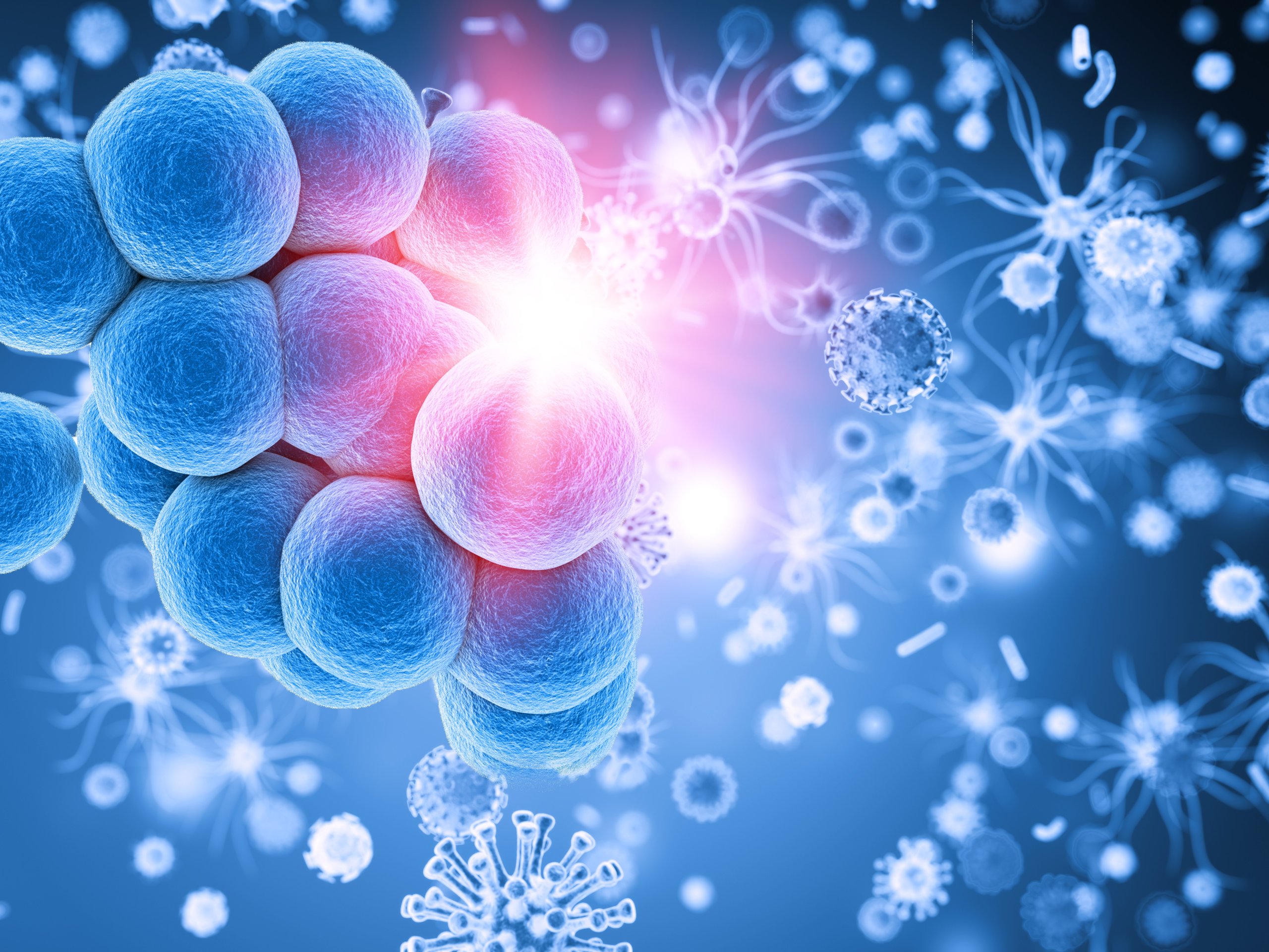 UCL Shows Steriwave Effective Against Mucor Fungus - Ondine Biomedical